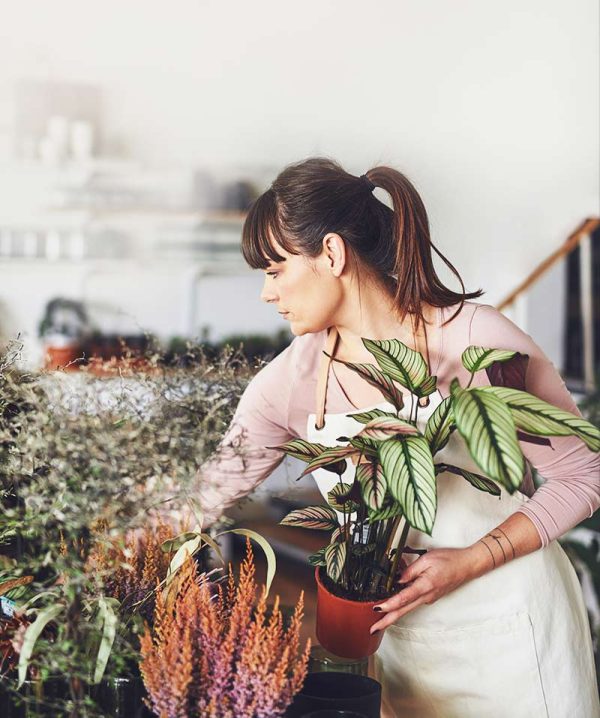 Nata Florist Bali – Flower Decorations